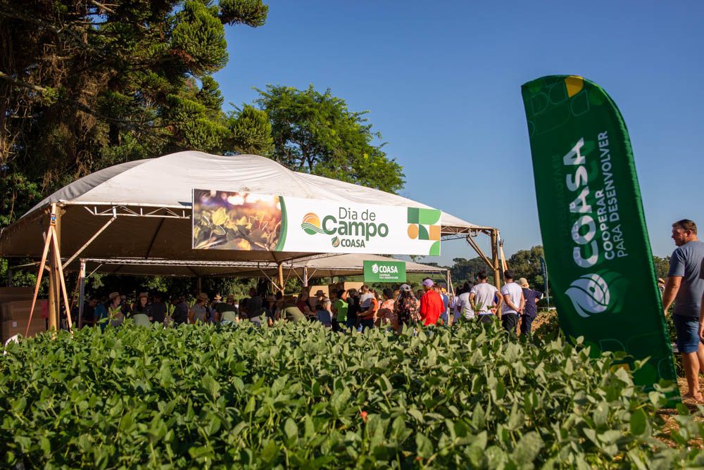 Coasa | Cooperar para Desenvolver